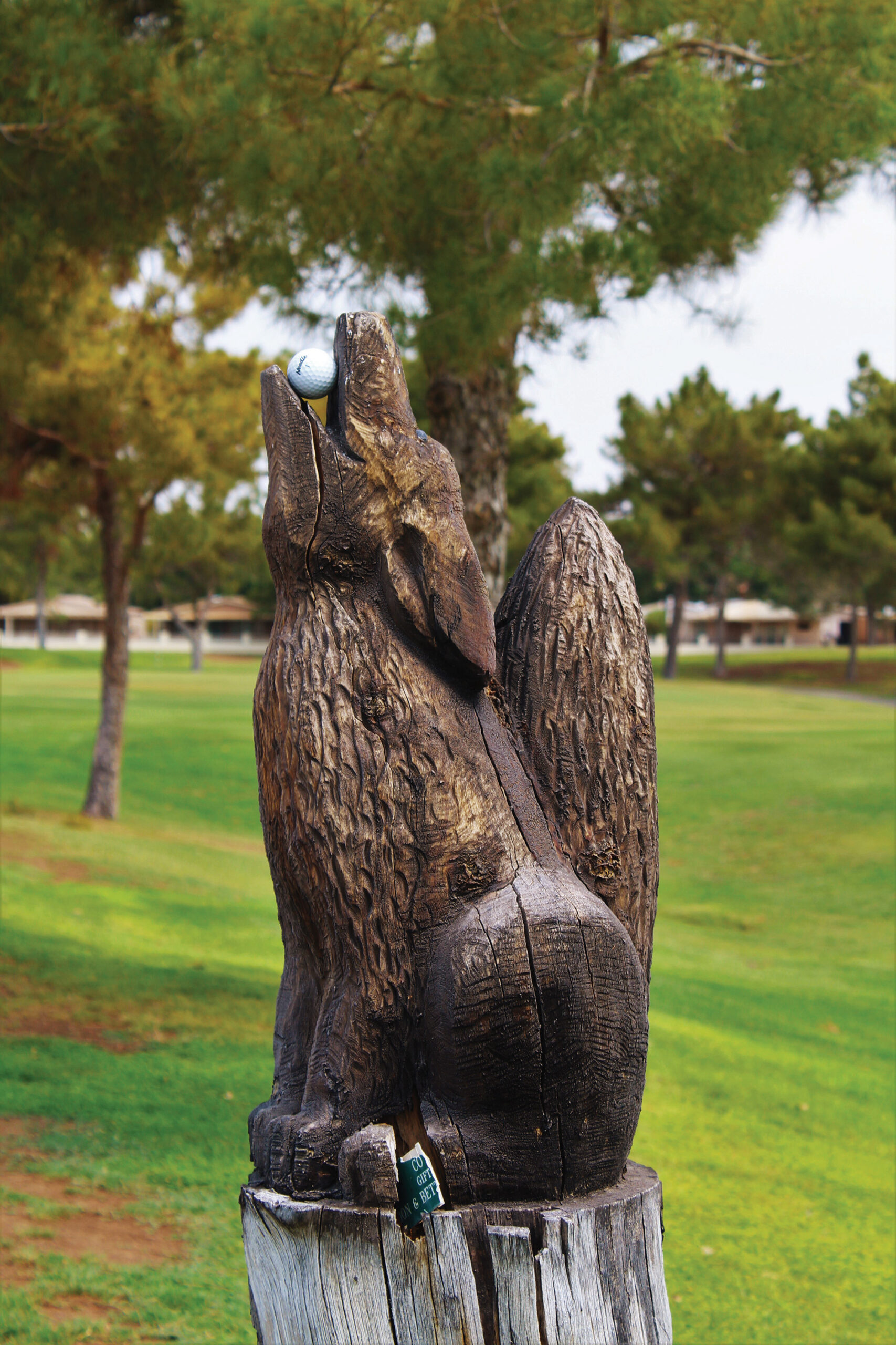 Golf Course Carvings – SunBird News